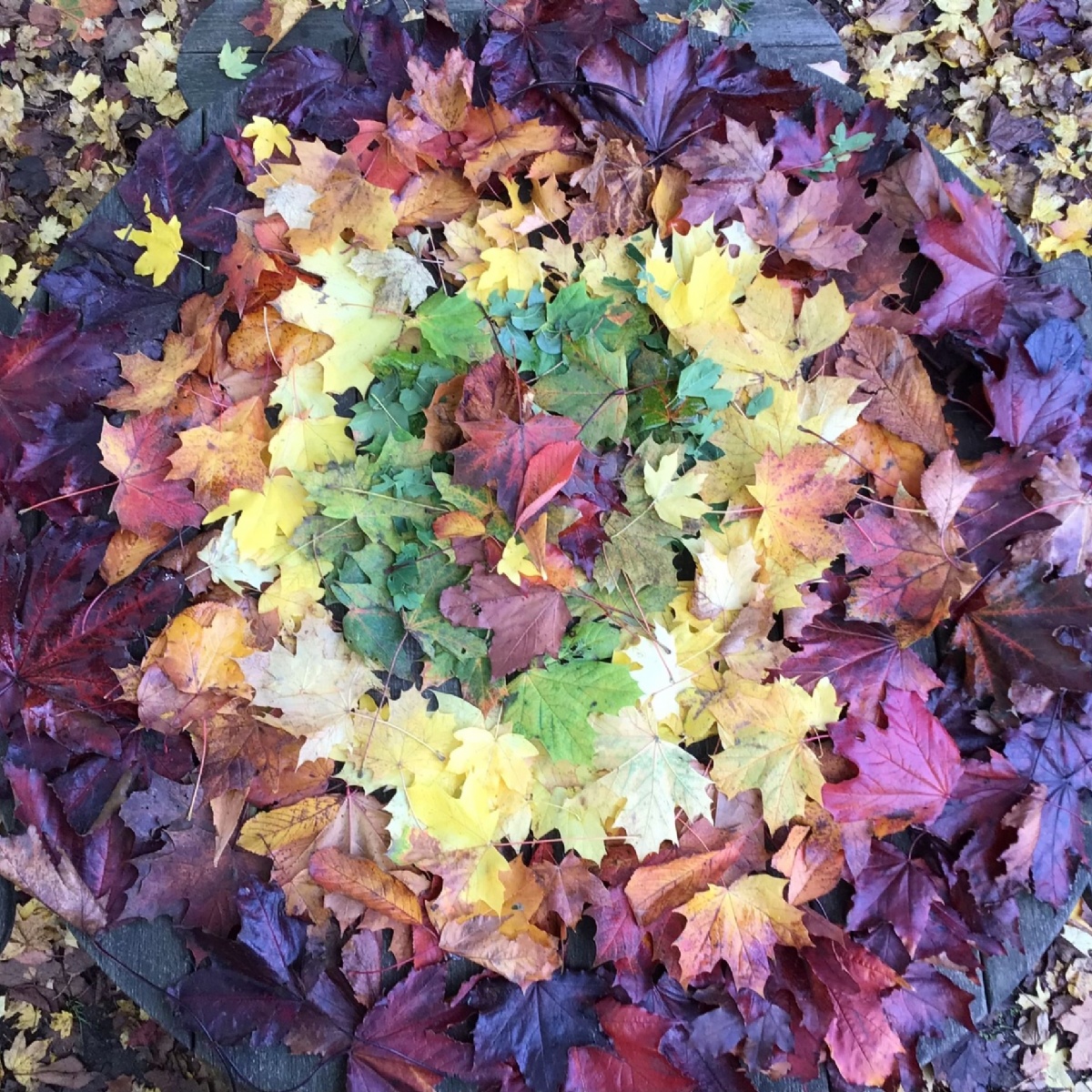 Foxton Primary School - October Newsletter