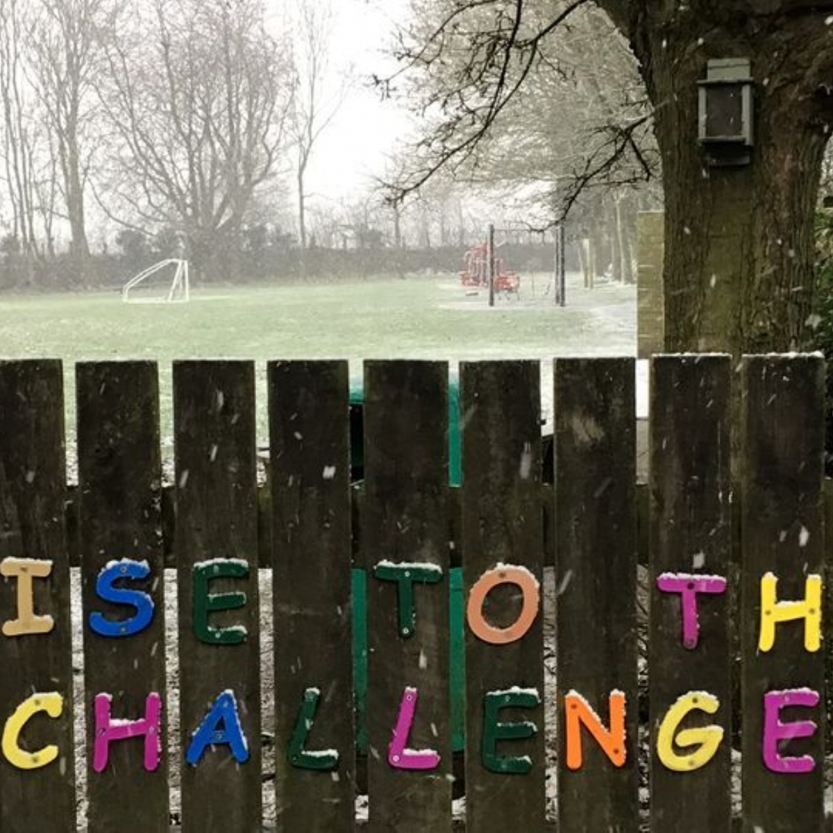 Foxton Primary School - January Newsletter