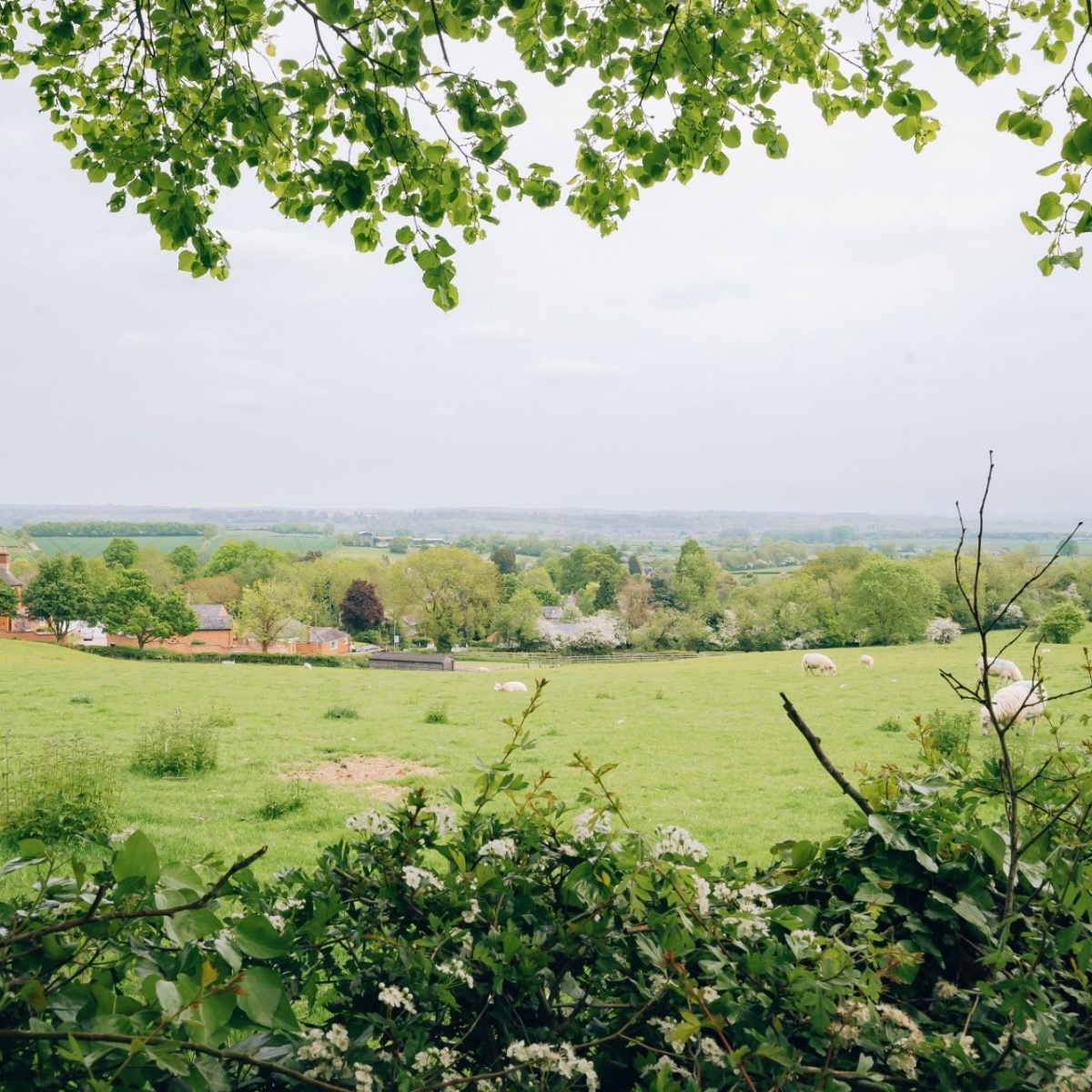 Foxton Primary School - Welcome Back