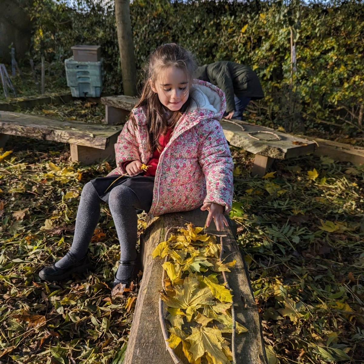 Foxton Primary School - November Newsletter